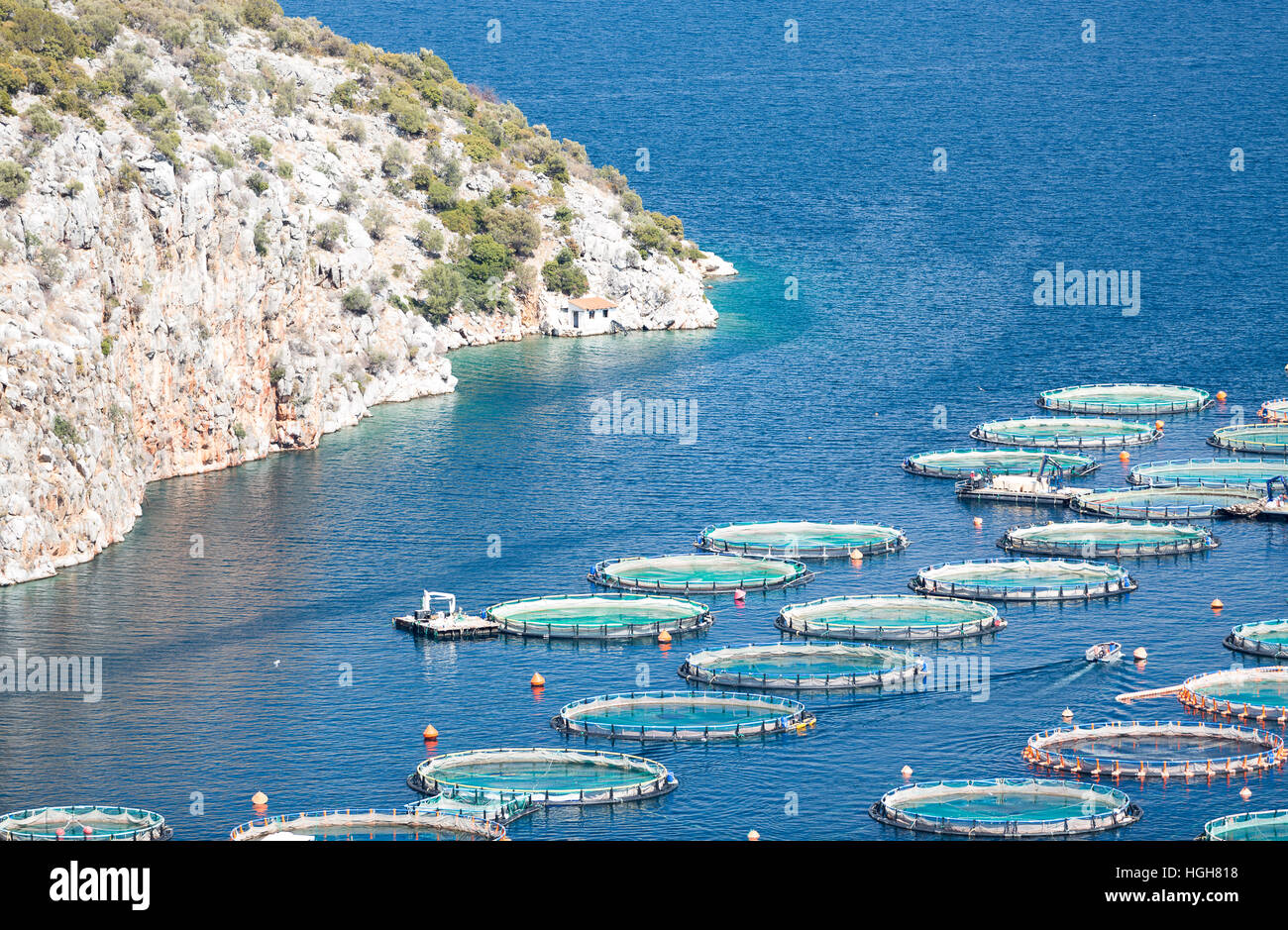 Fish farm in the sea Stock Photo - Alamy