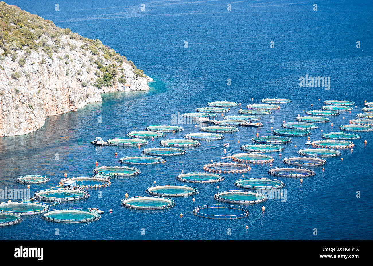 Fish farm in the sea Stock Photo - Alamy