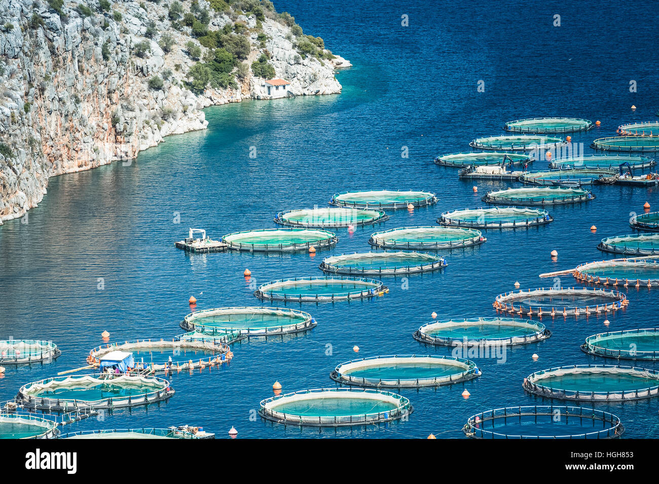 Fish farm in the sea Stock Photo - Alamy