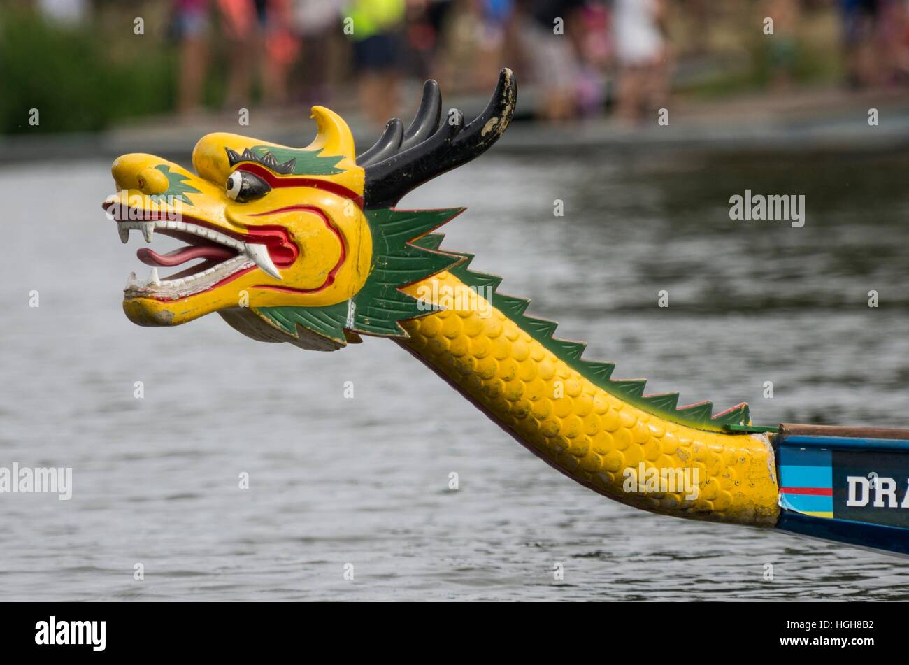 Dragon Boat Head
