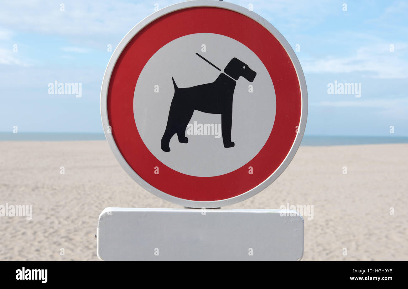 Sign for dog ban on the North Sea beach in Belgium Stock Photo - Alamy