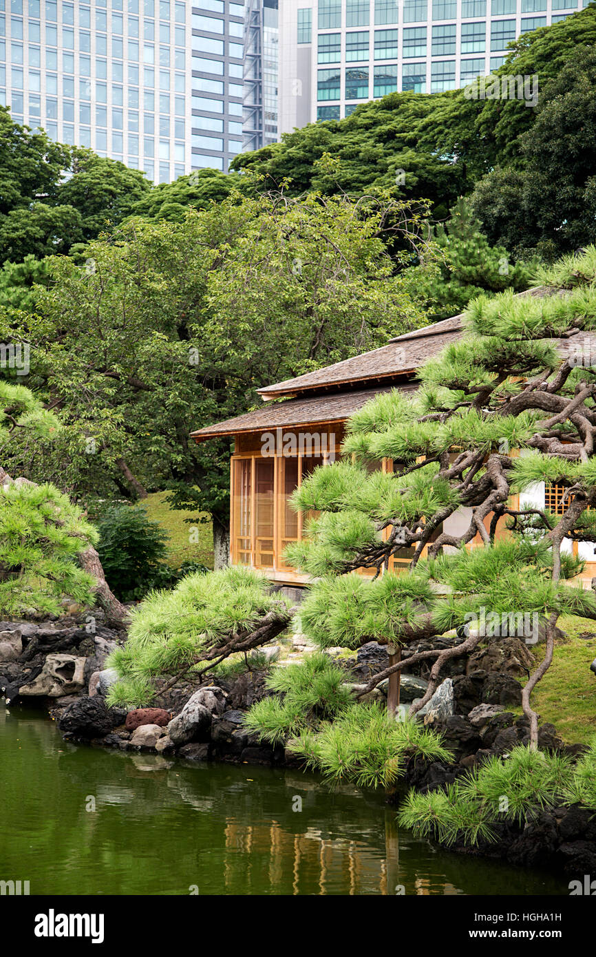 Detail of the Hamarikyu Gardens in Tokyo, Japan Stock Photo - Alamy
