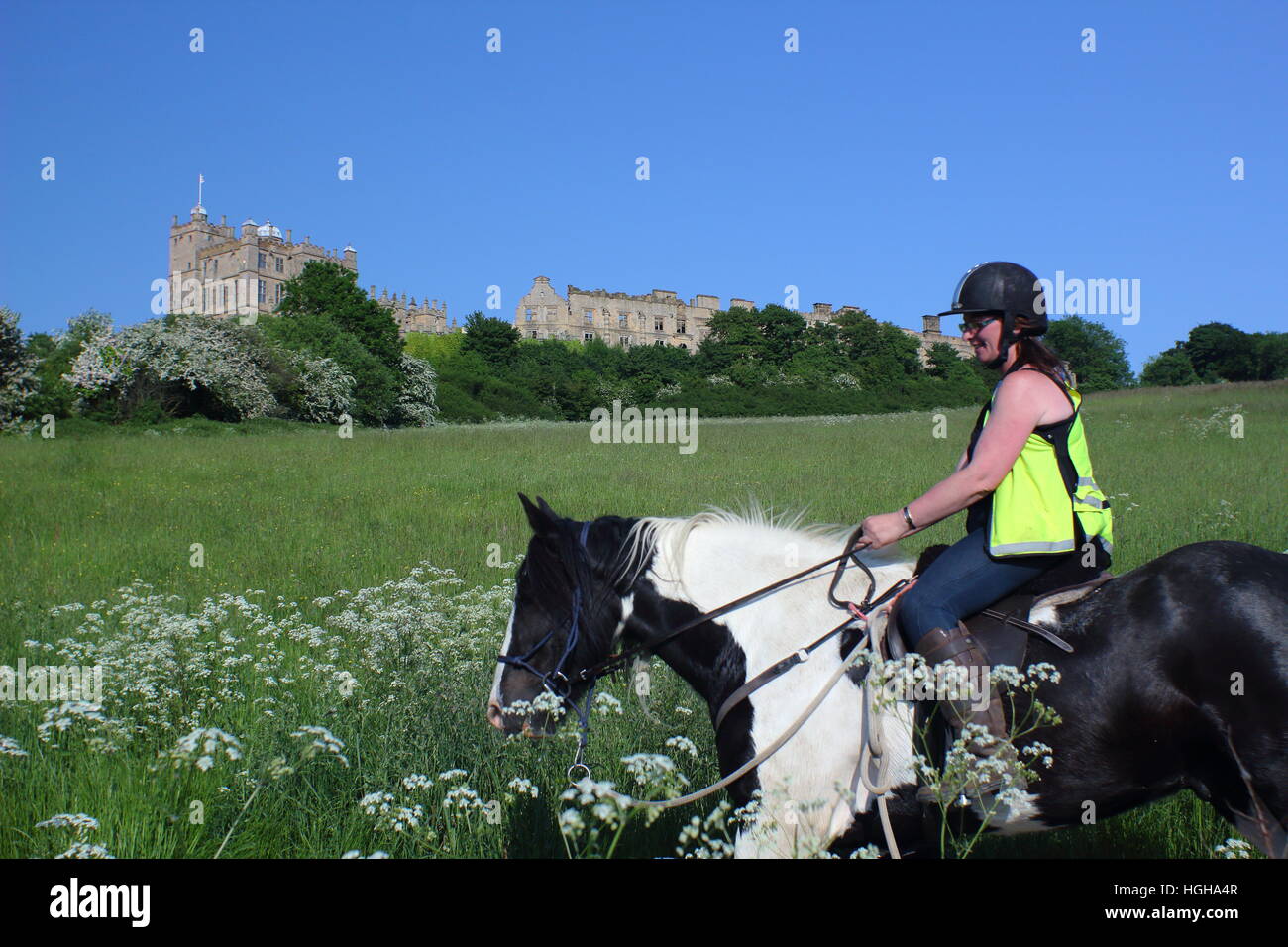 Historic english rider horse hi-res stock photography and images - Alamy