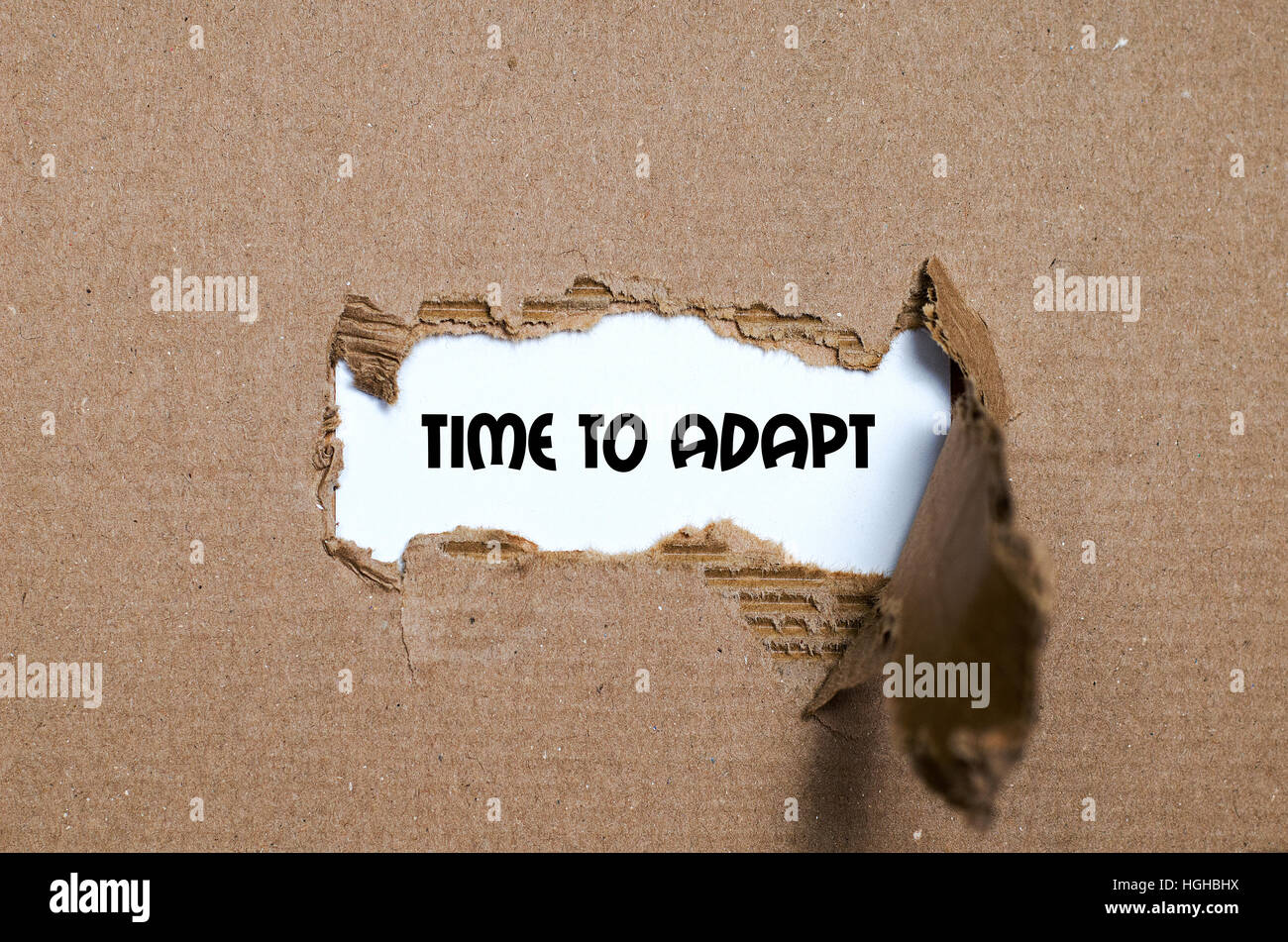 The word time to adapt appearing behind torn paper Stock Photo - Alamy