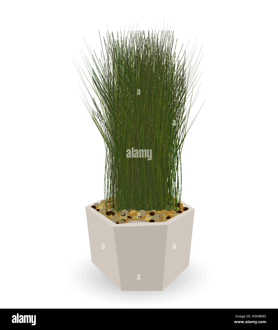 Home Green Plant in Nice Pot. Vector Illustration Stock Vector Image ...