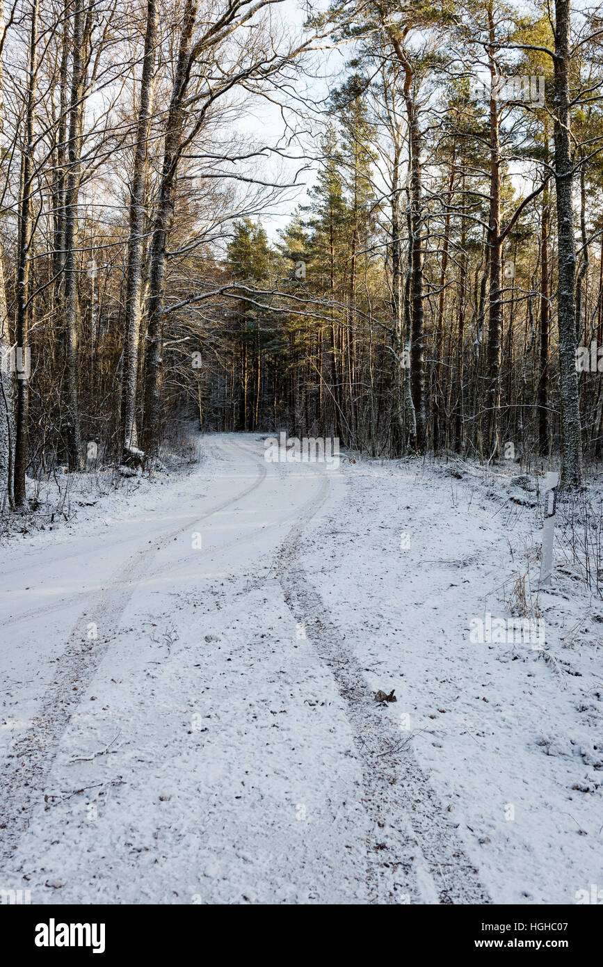 car tire tracks on winter road in deep snow in lonely forest Stock ...