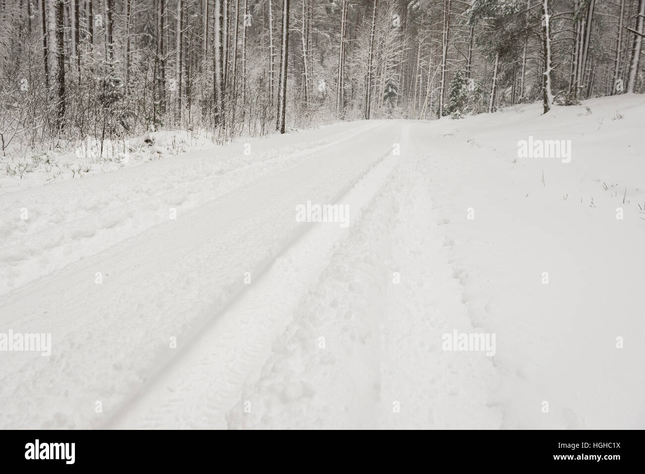 car tire tracks on winter road in deep snow in lonely forest Stock ...