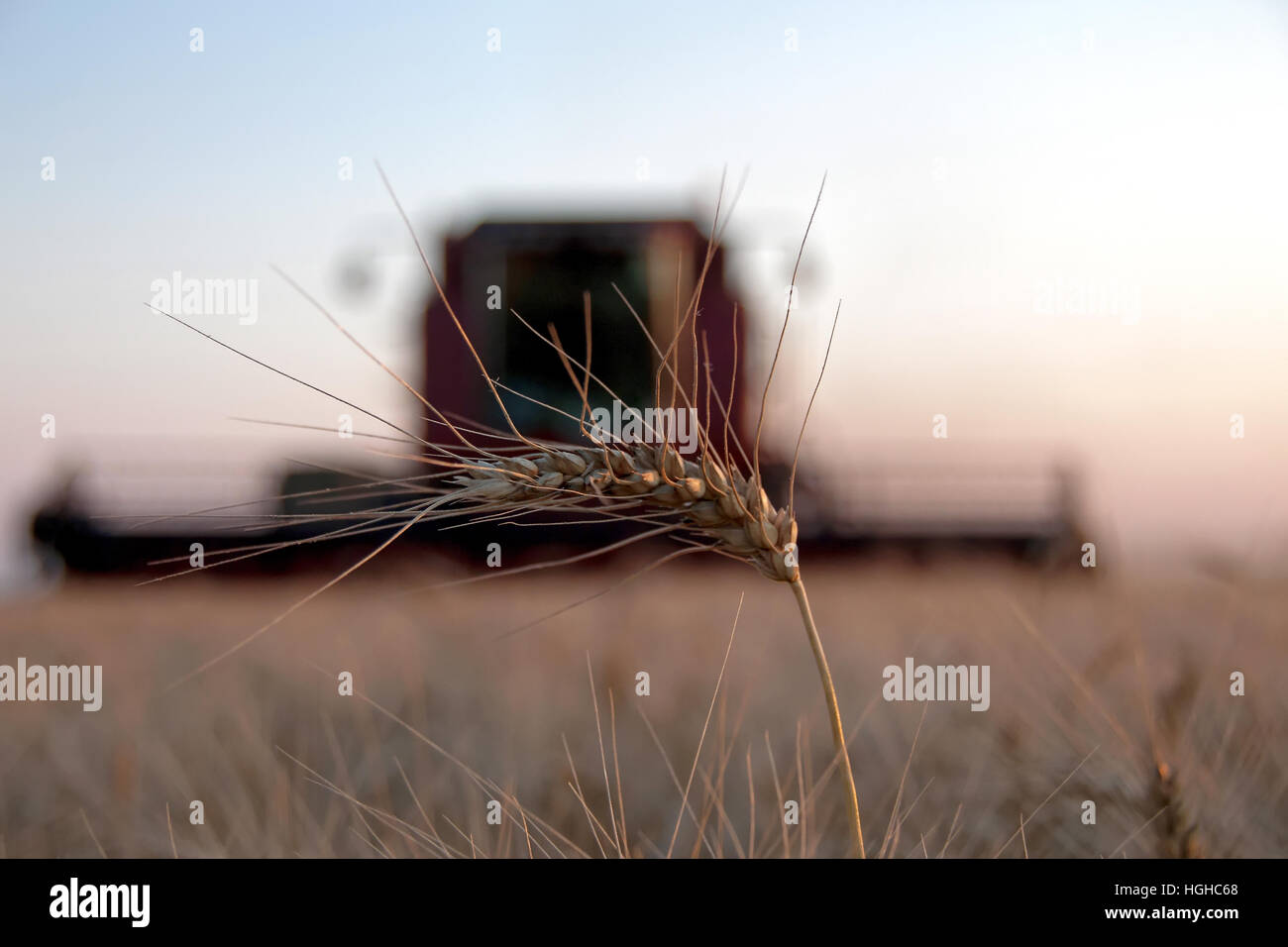 Combine backdrop hi-res stock photography and images - Alamy