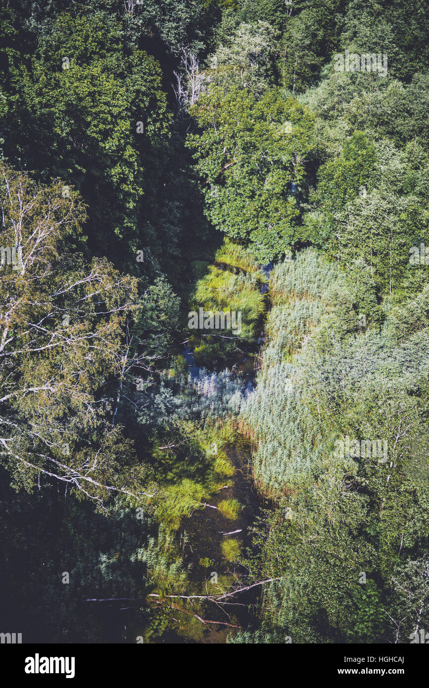 Vast expanse of green forest at distance below Stock Photo - Alamy