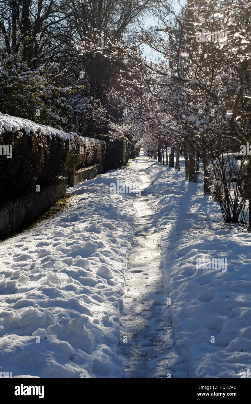Tree lined street snow hi-res stock photography and images - Alamy
