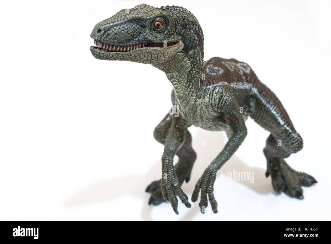 Velociraptor hi-res stock photography and images - Alamy