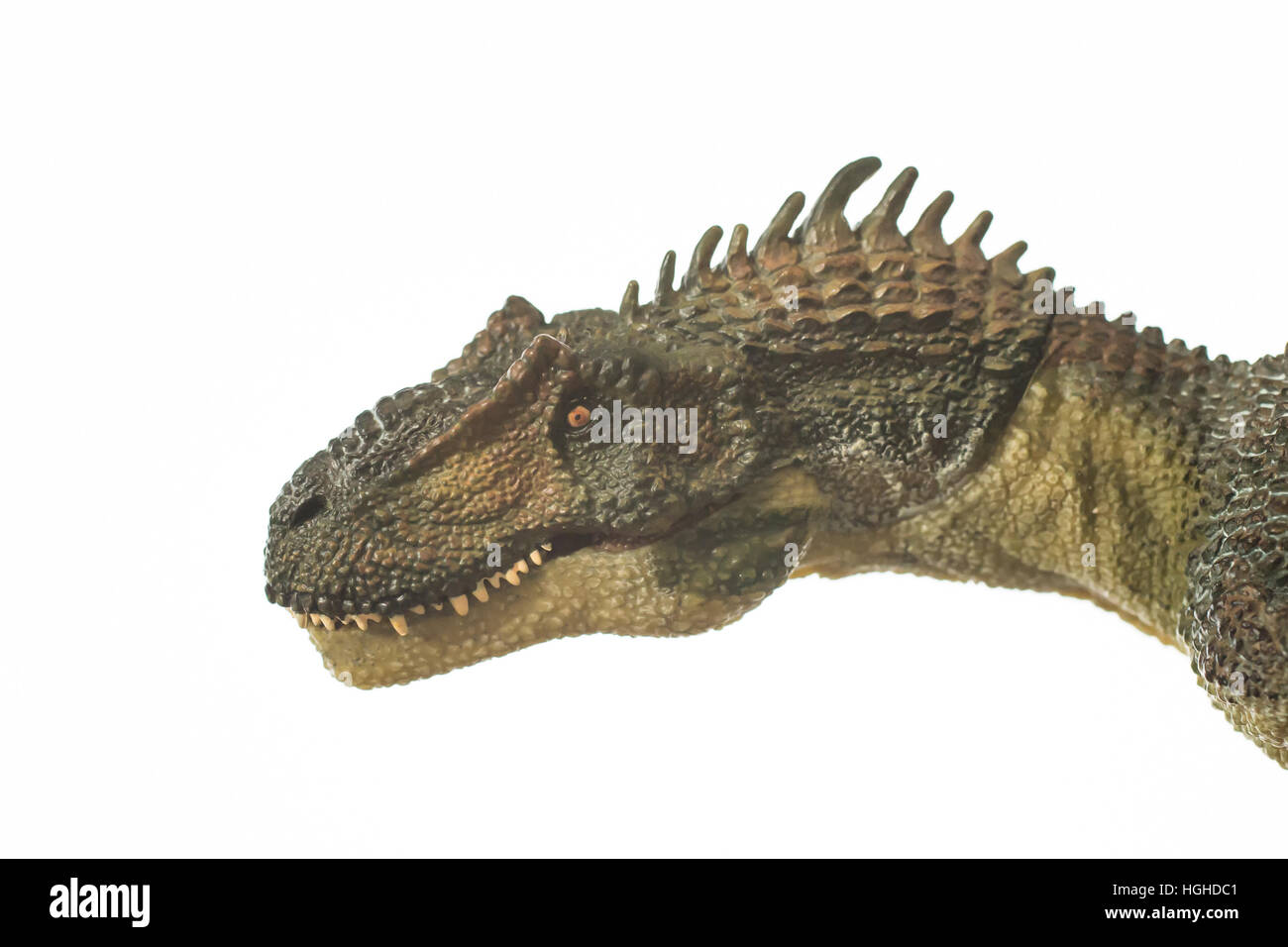 Allosaurus eating hi-res stock photography and images - Alamy