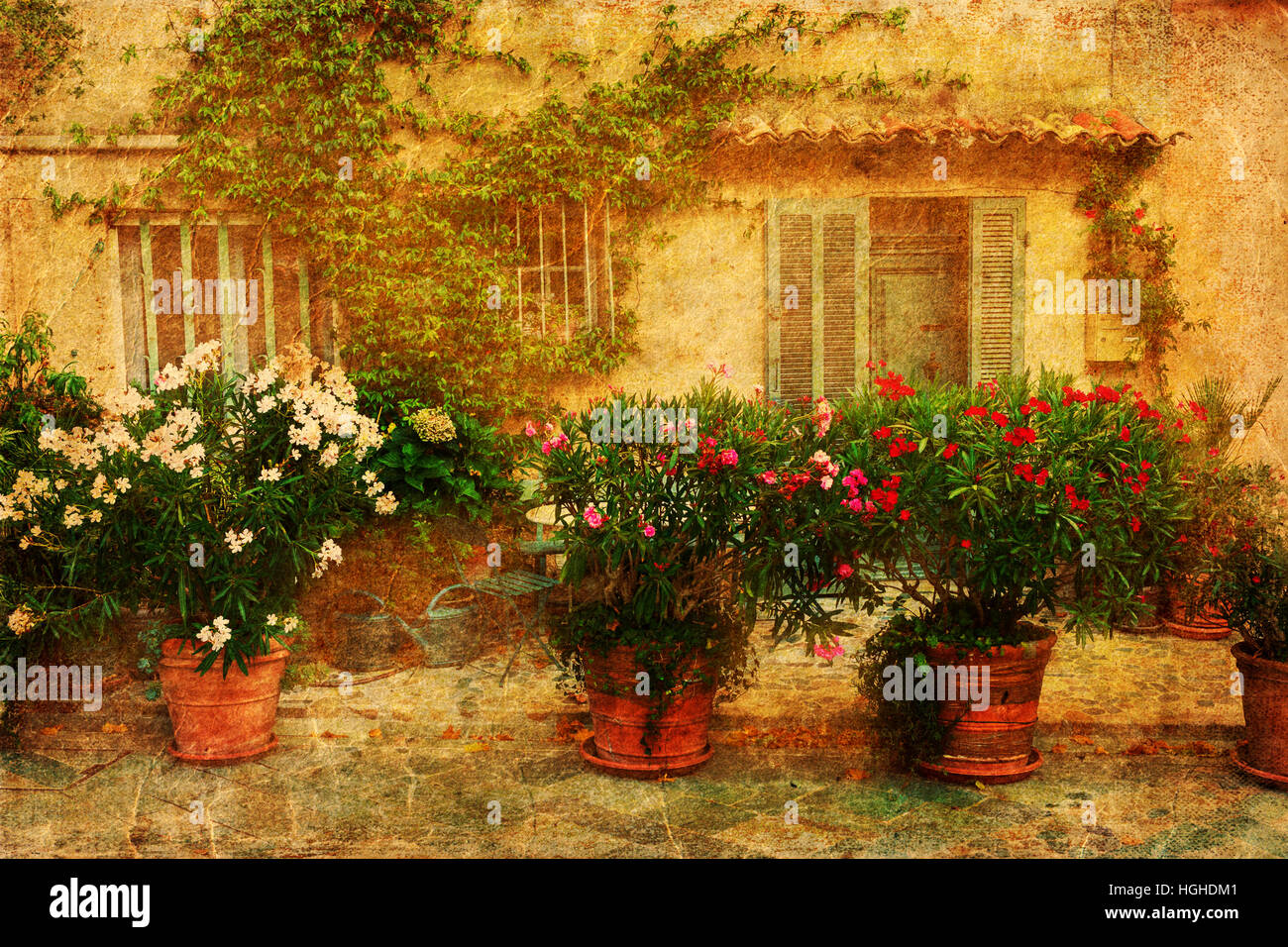 vintage textured picture of a Provencal idyll, with oleander plants in ...
