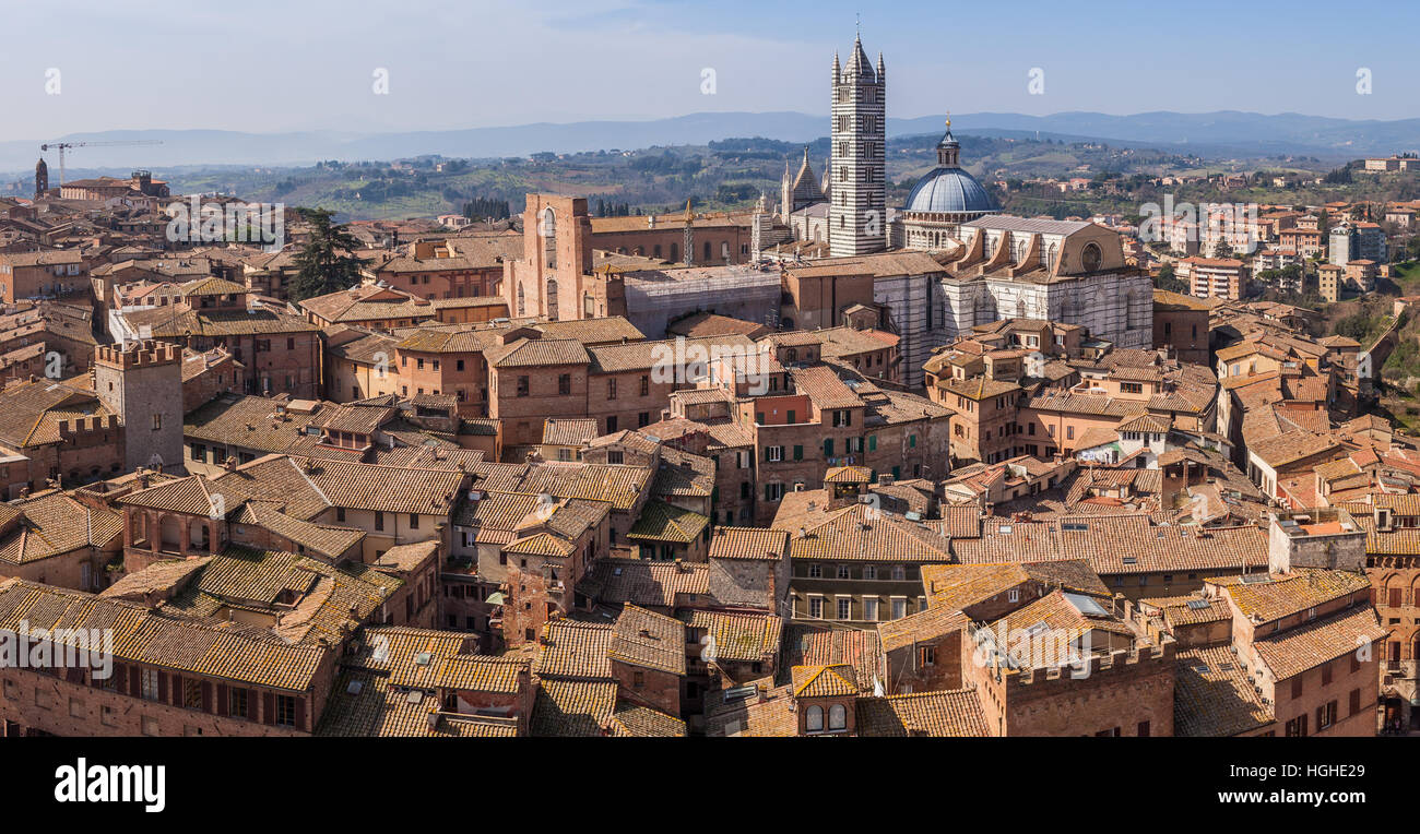 Sienna cathedral hi-res stock photography and images - Alamy