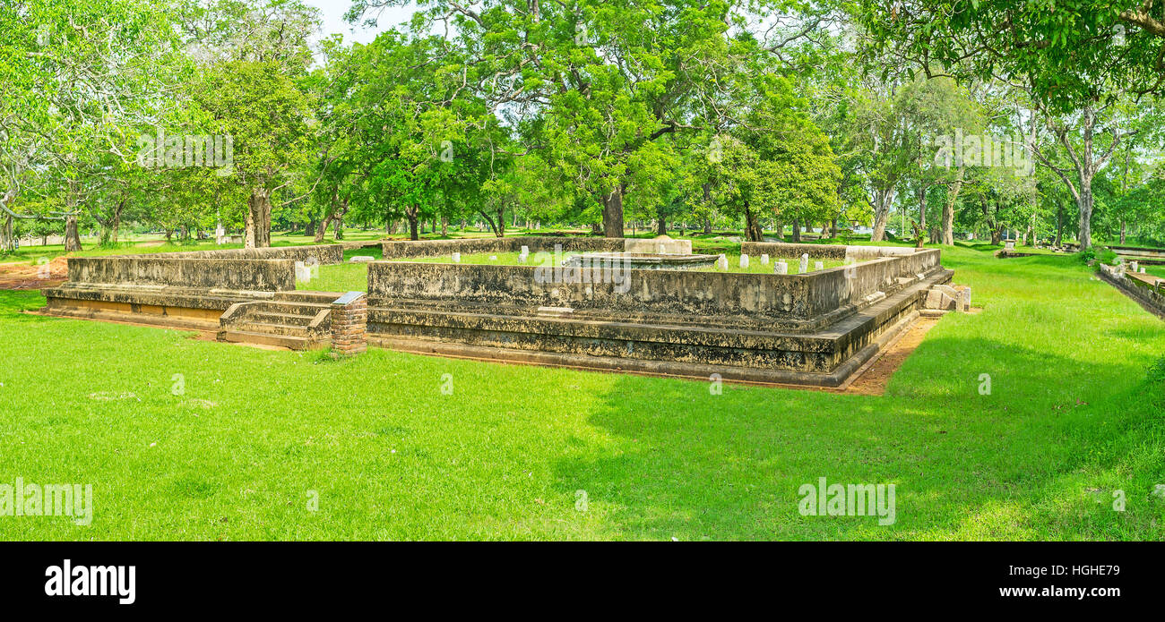 Jetavana bodhi tree hi-res stock photography and images - Alamy