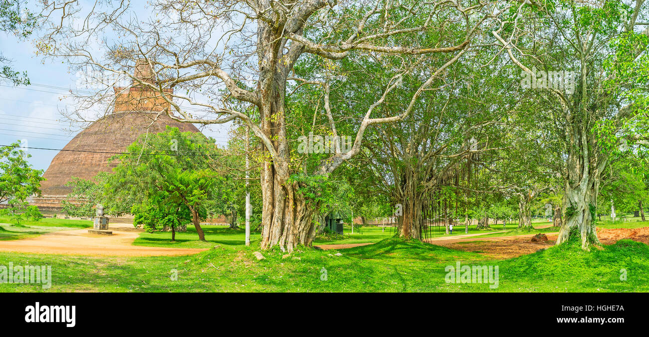 The walk in garden of Jetavana Vihara with the view on giant brick ...