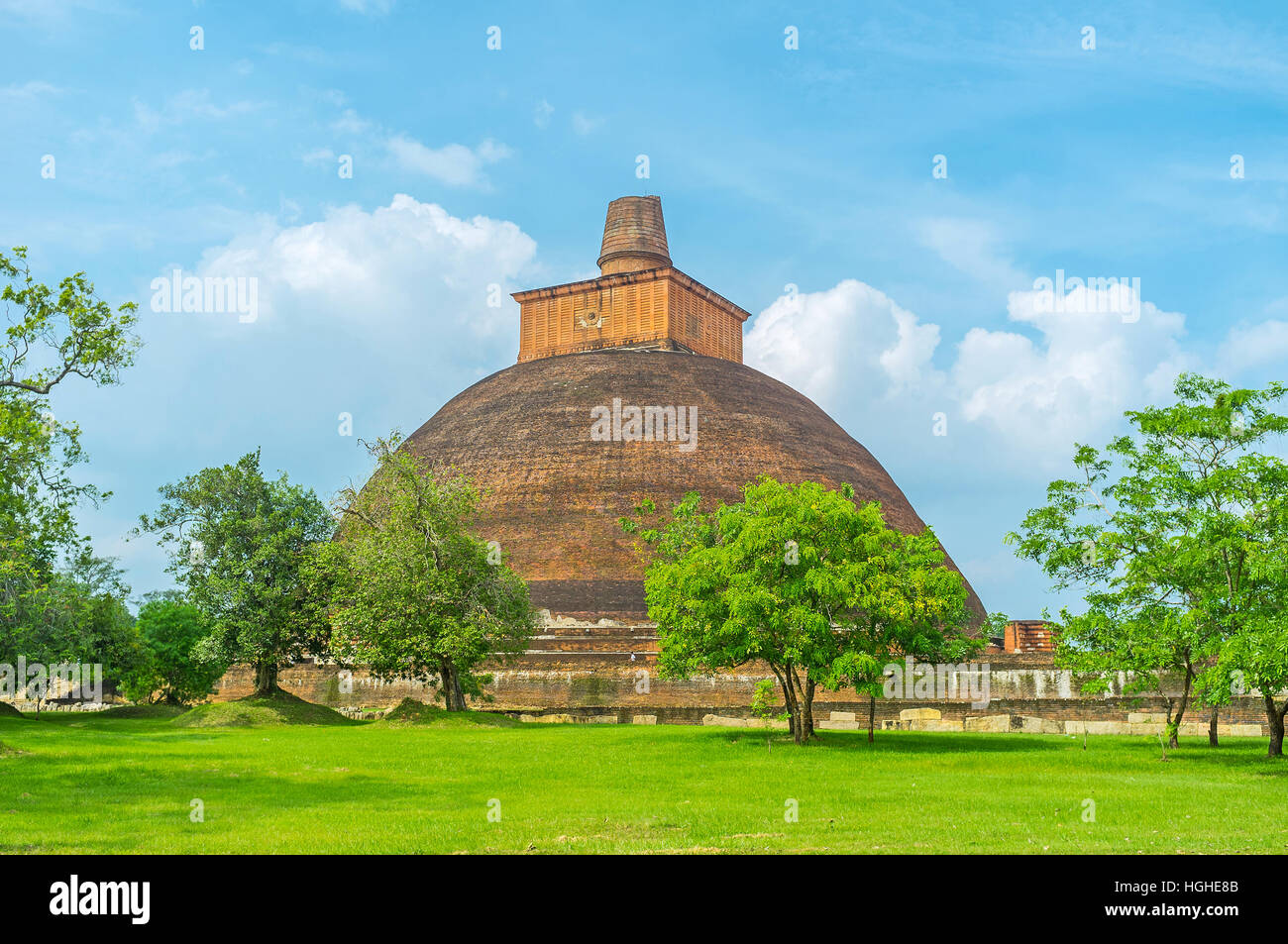 Jetavana bodhi tree hi-res stock photography and images - Alamy