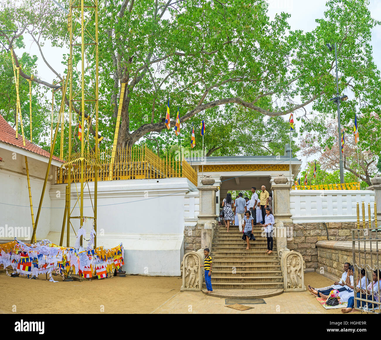 The heavy branches of Bodhi Tree propped up with golden support ...