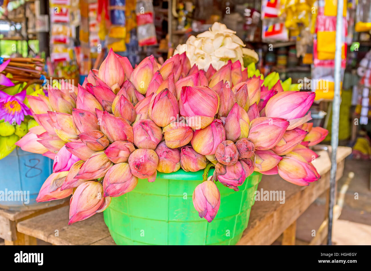 Plastic lotus flower hi-res stock photography and images - Alamy