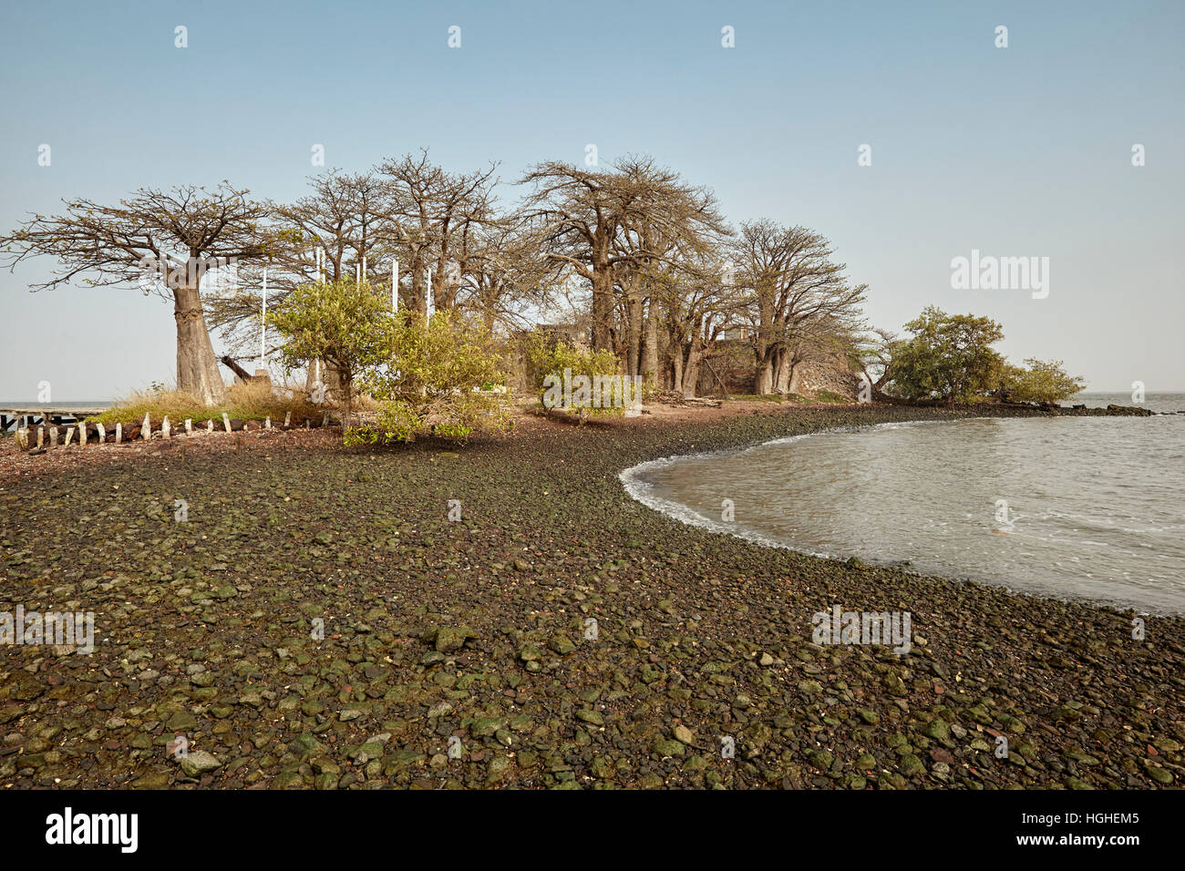 Gambia kunta kinte hi-res stock photography and images - Alamy