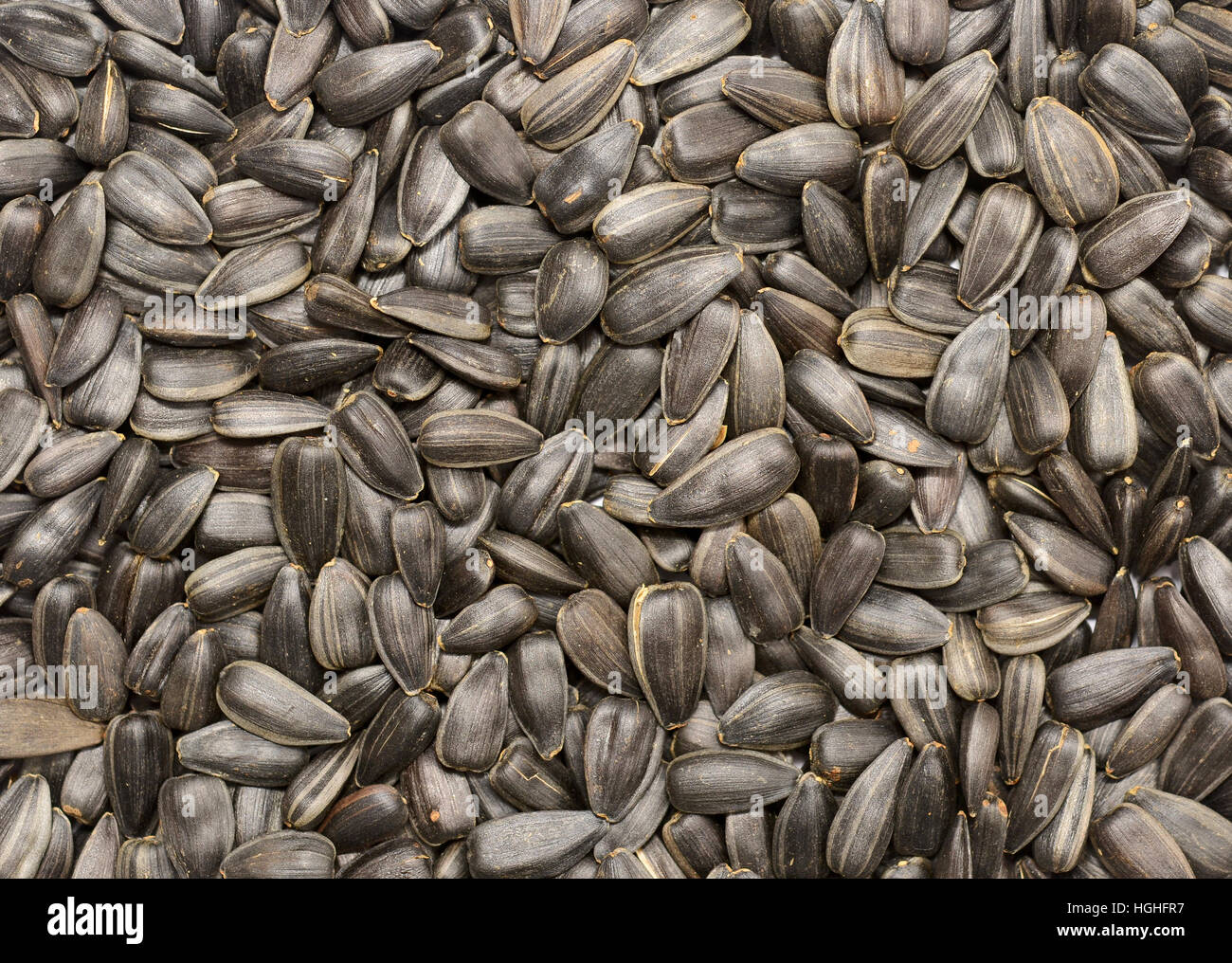 background of sunflower seeds Stock Photo - Alamy