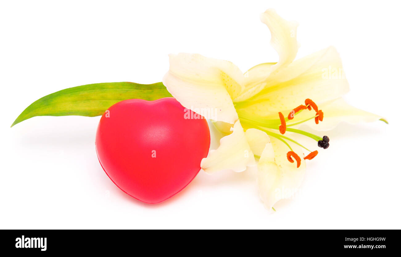 beautiful lily and heart on a white Stock Photo - Alamy