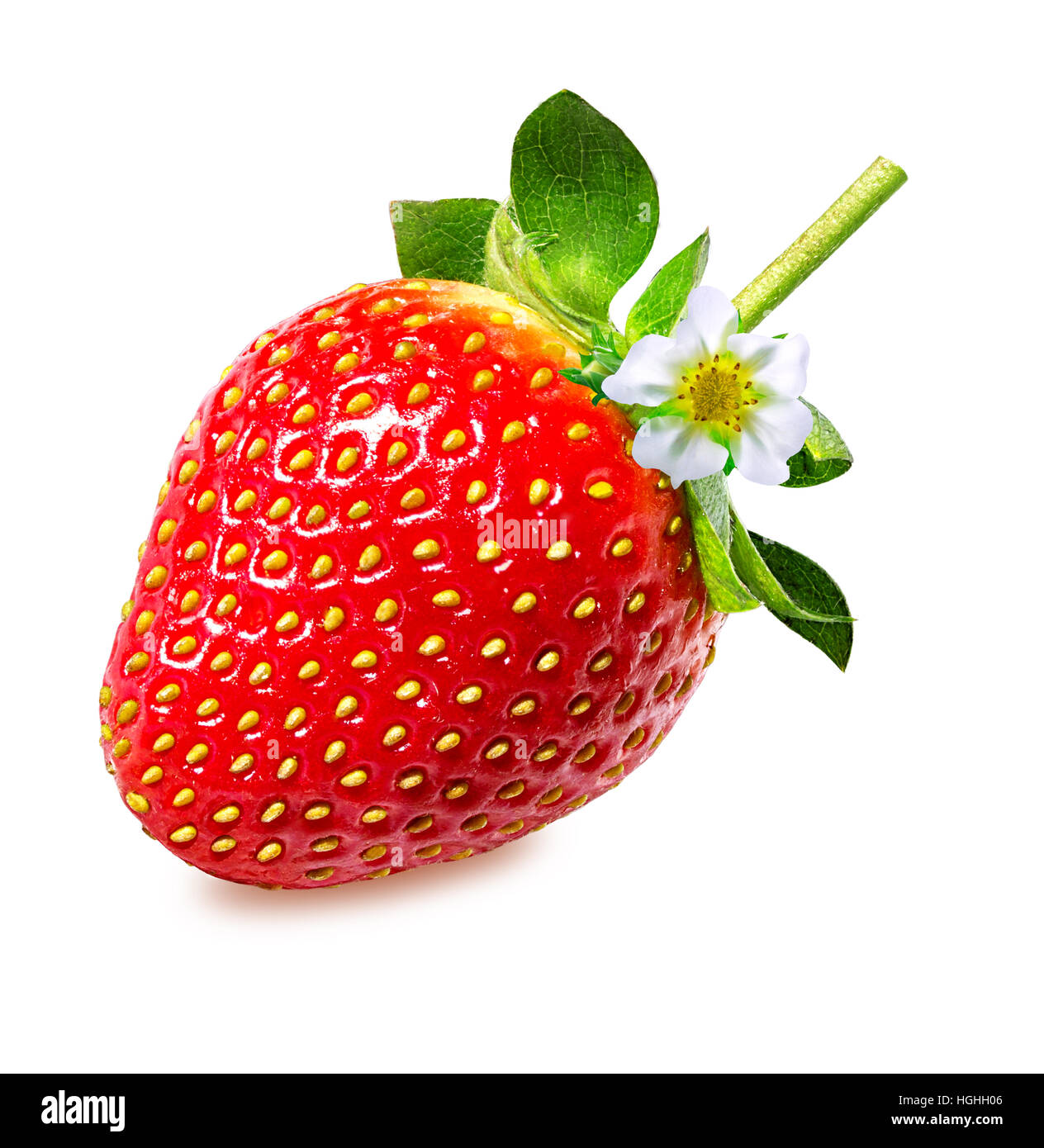 Strawberry on white background Stock Photo - Alamy