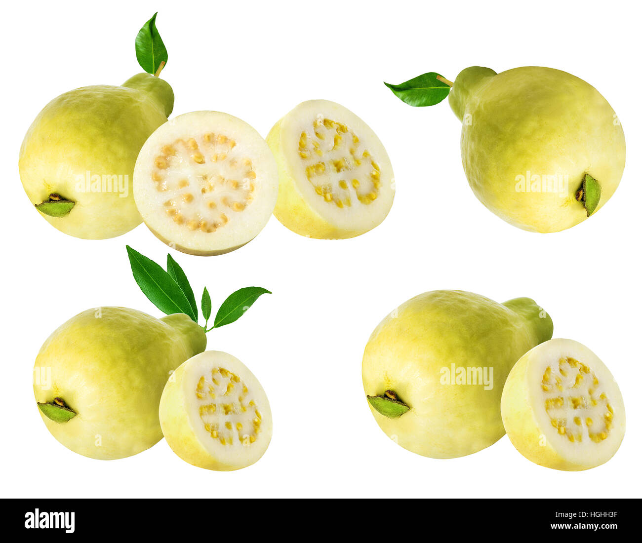 guava isolated on white background Stock Photo - Alamy