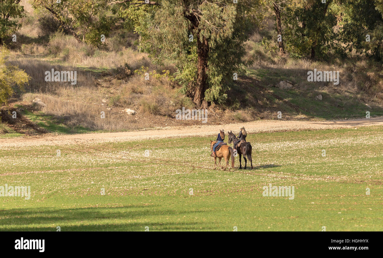 Two people riding on horseback outdoors spring Stock Photo - Alamy