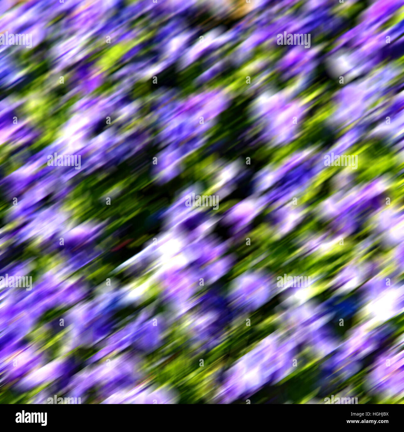 blur in the spring colors flowers and garden Stock Photo - Alamy