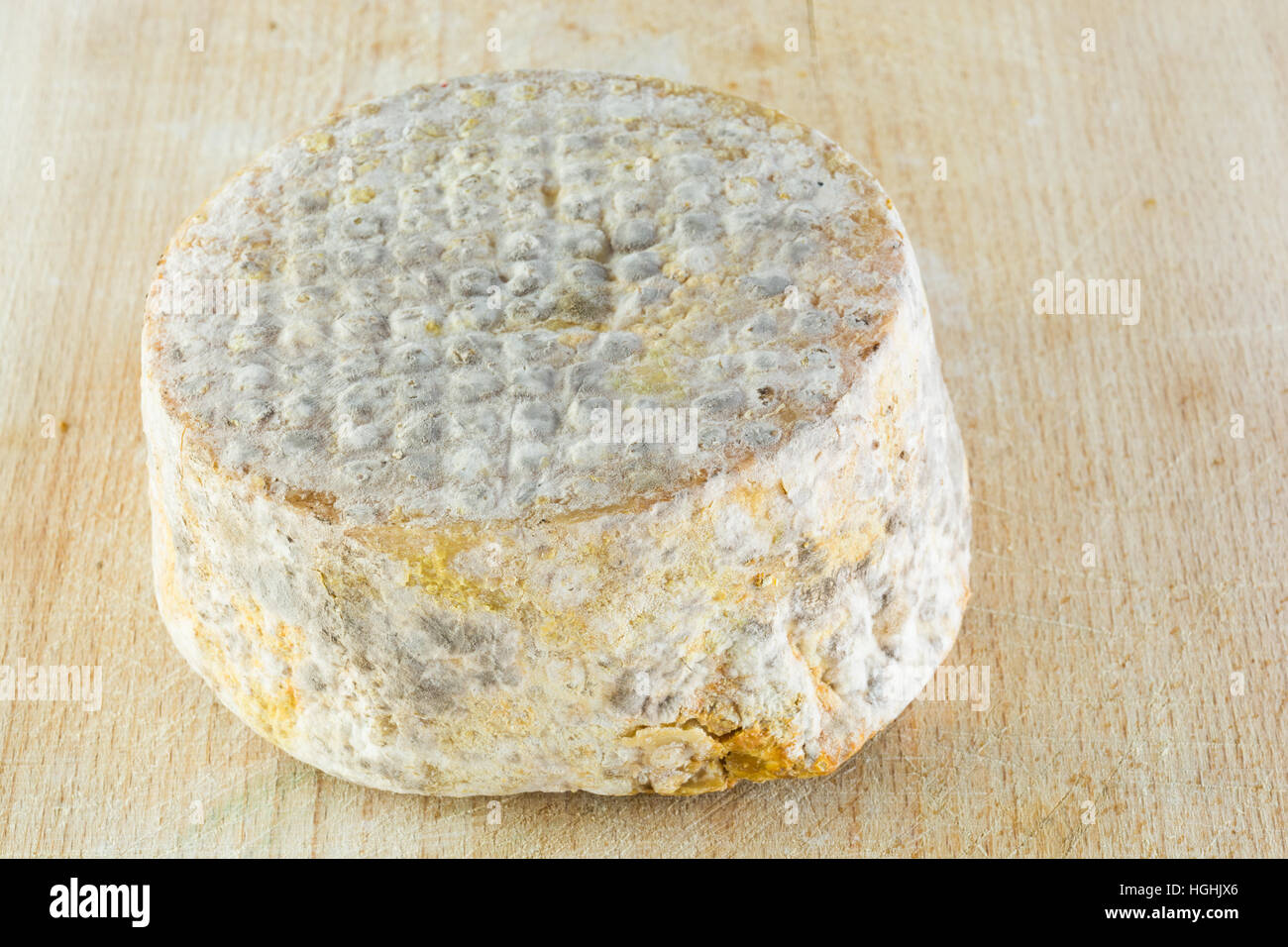 Penicillium camemberti hi-res stock photography and images - Alamy