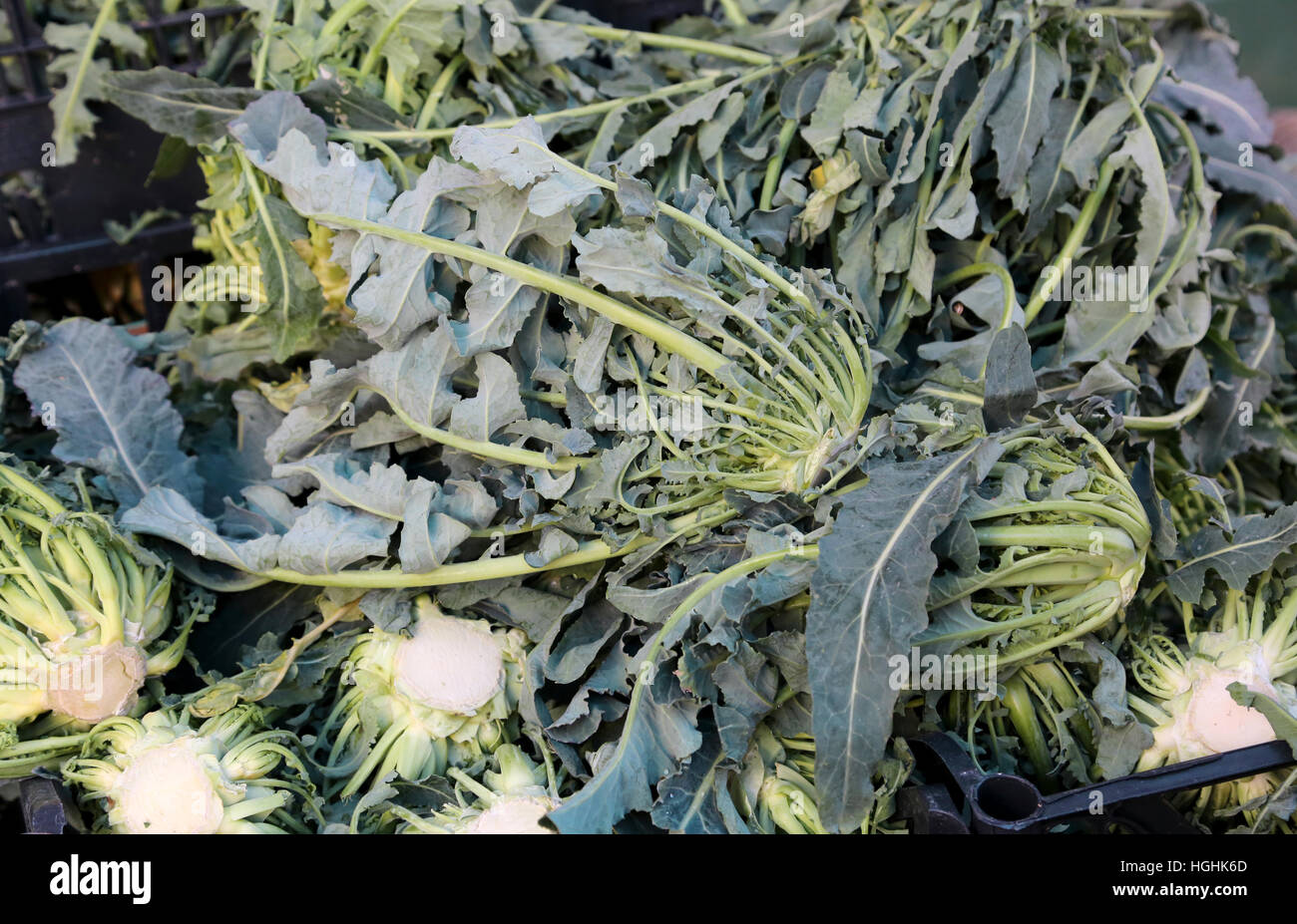 Genuine green broccoli Northern Italy called BROCCOLO FIOLARO for sale ...