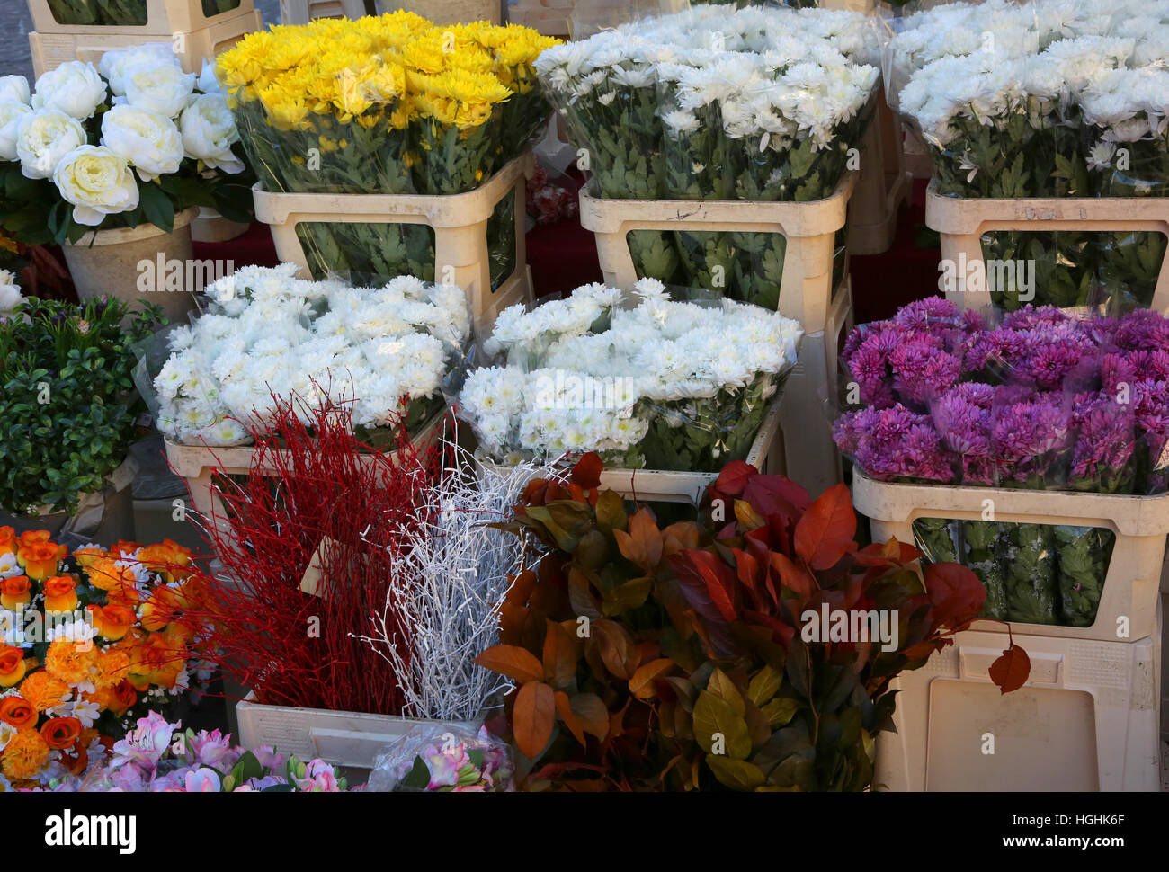 vessels with many flowers for sale in the floriculture market Stock ...