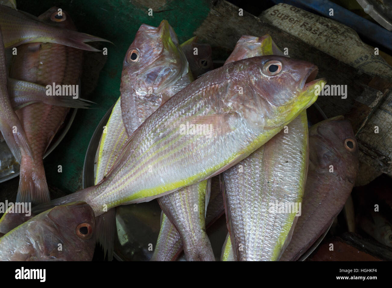 Fish market of india hi-res stock photography and images - Alamy