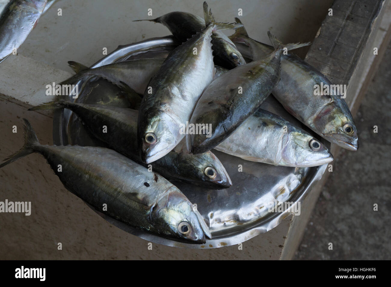 Fish Market In Goa High Resolution Stock Photography and Images - Alamy