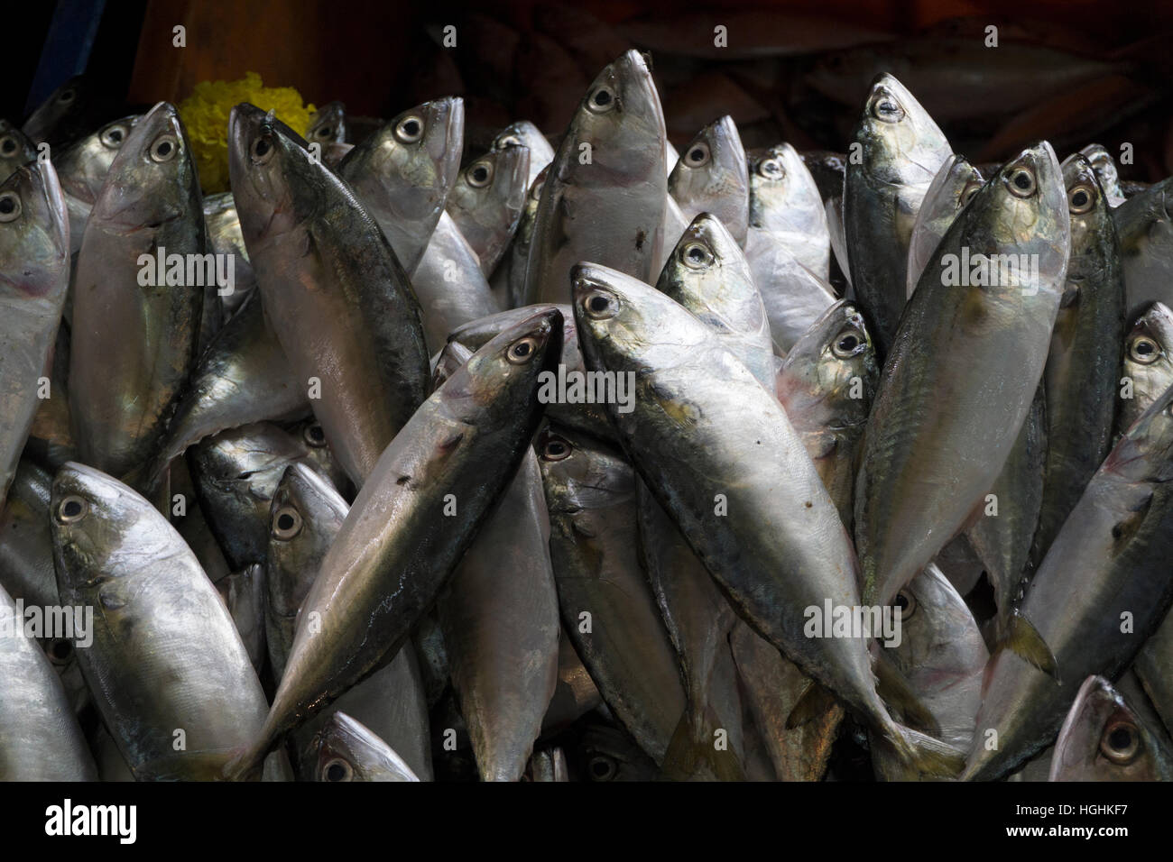 Fish market in goa hi-res stock photography and images - Alamy