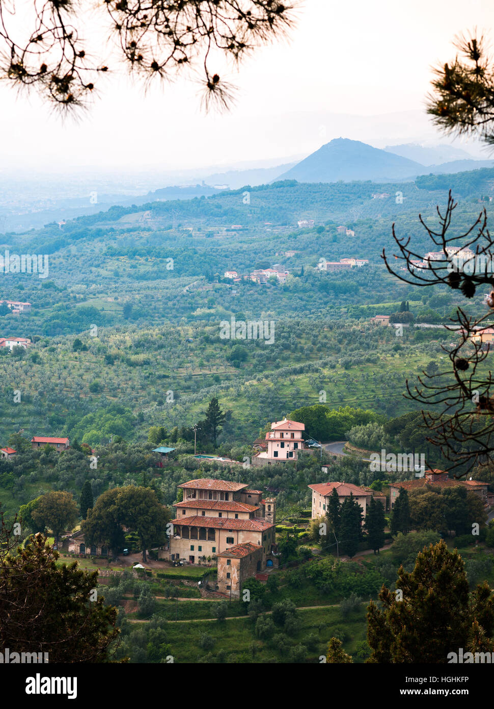 Houses and olive trees in rolling landscape. Italian Tuscany Stock ...