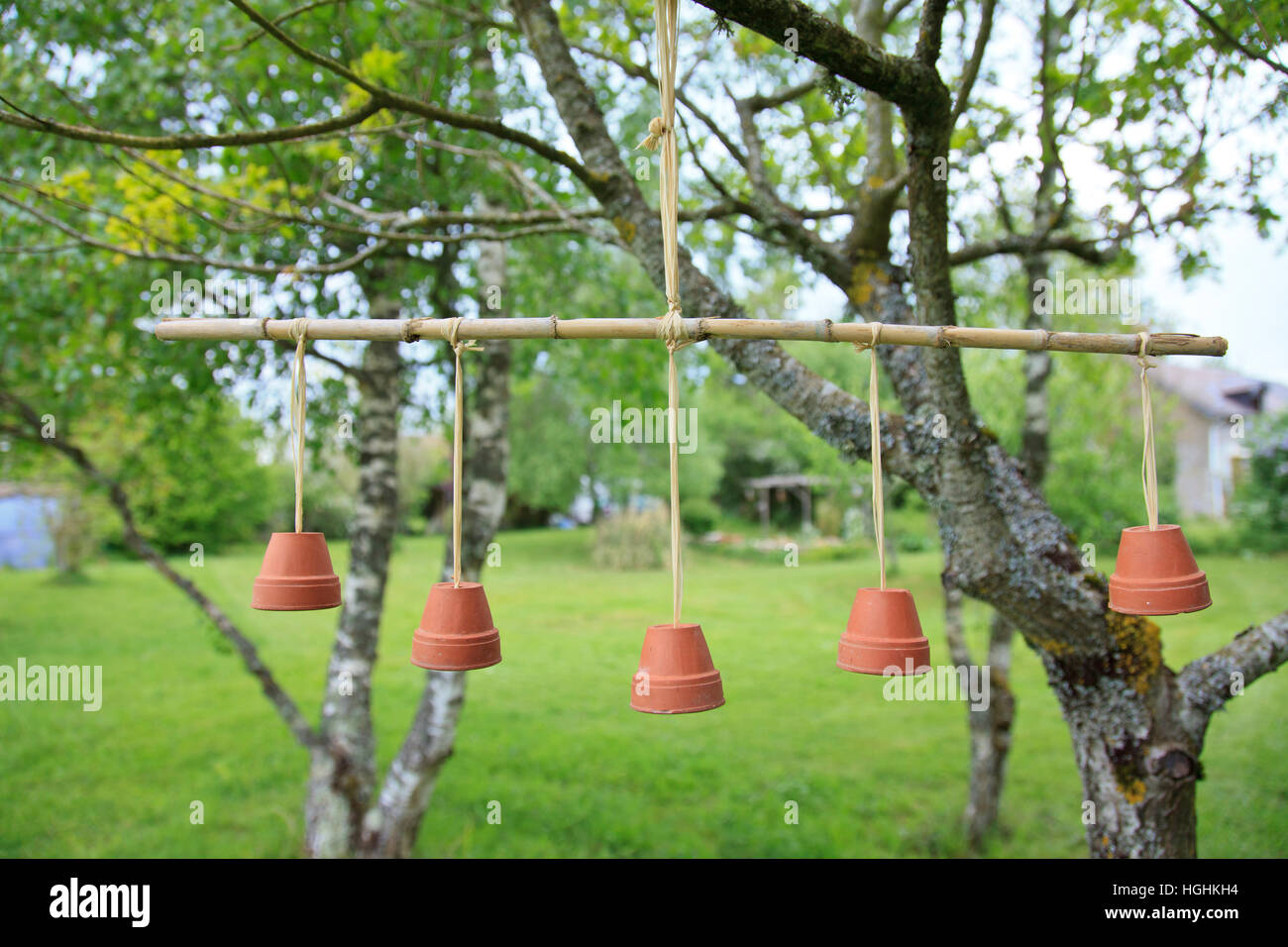 Hanging trees installation hi-res stock photography and images - Alamy