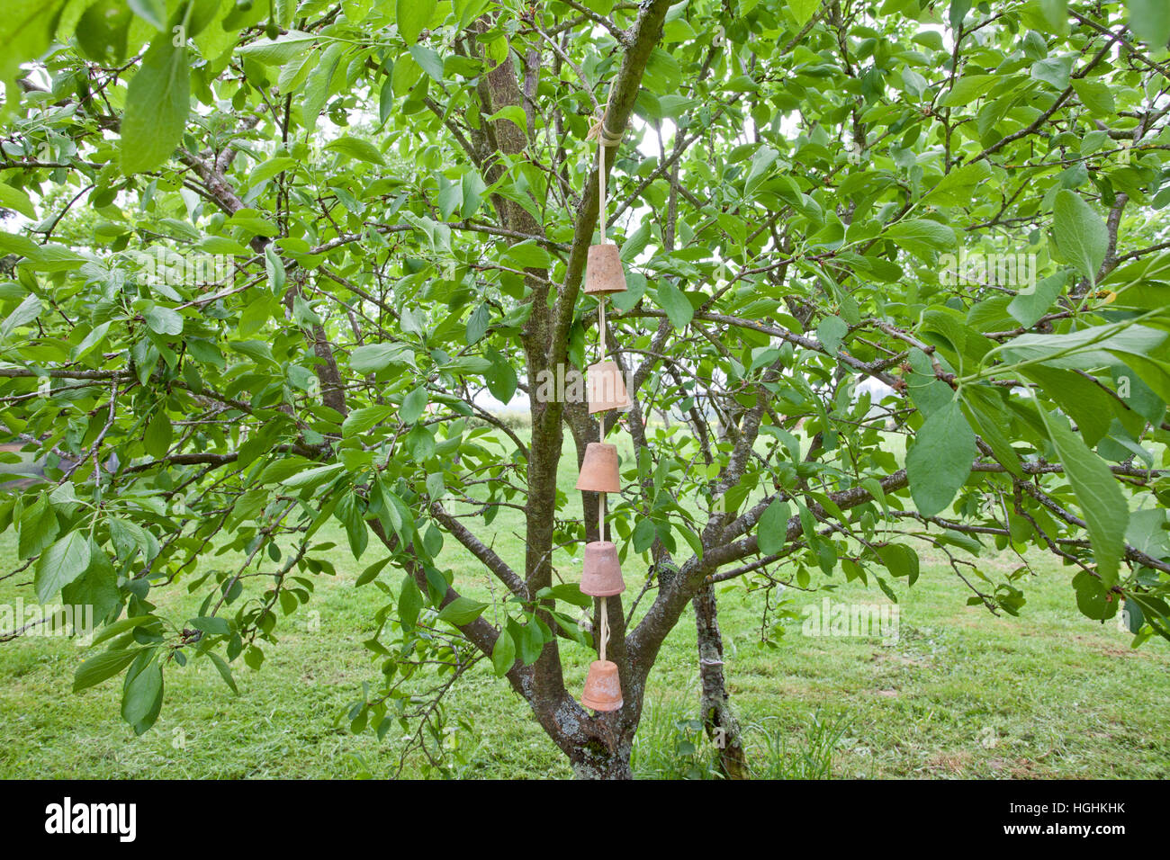 Hanging mobile in a tree realized with terracotta flowerpot (Europe ...