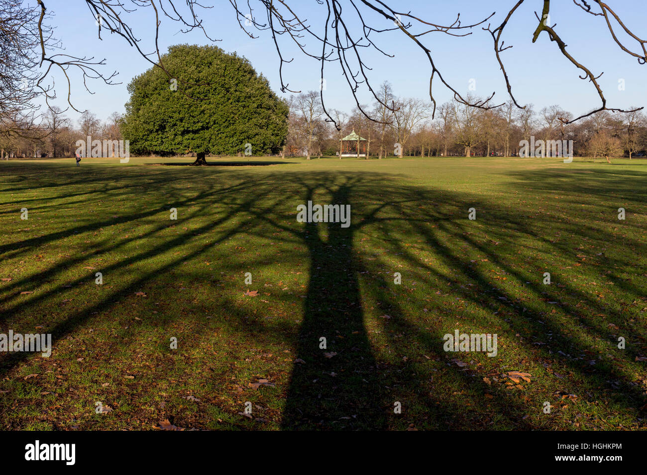 Low sun casting shadows, Greenwich Park, London, UK Stock Photo - Alamy