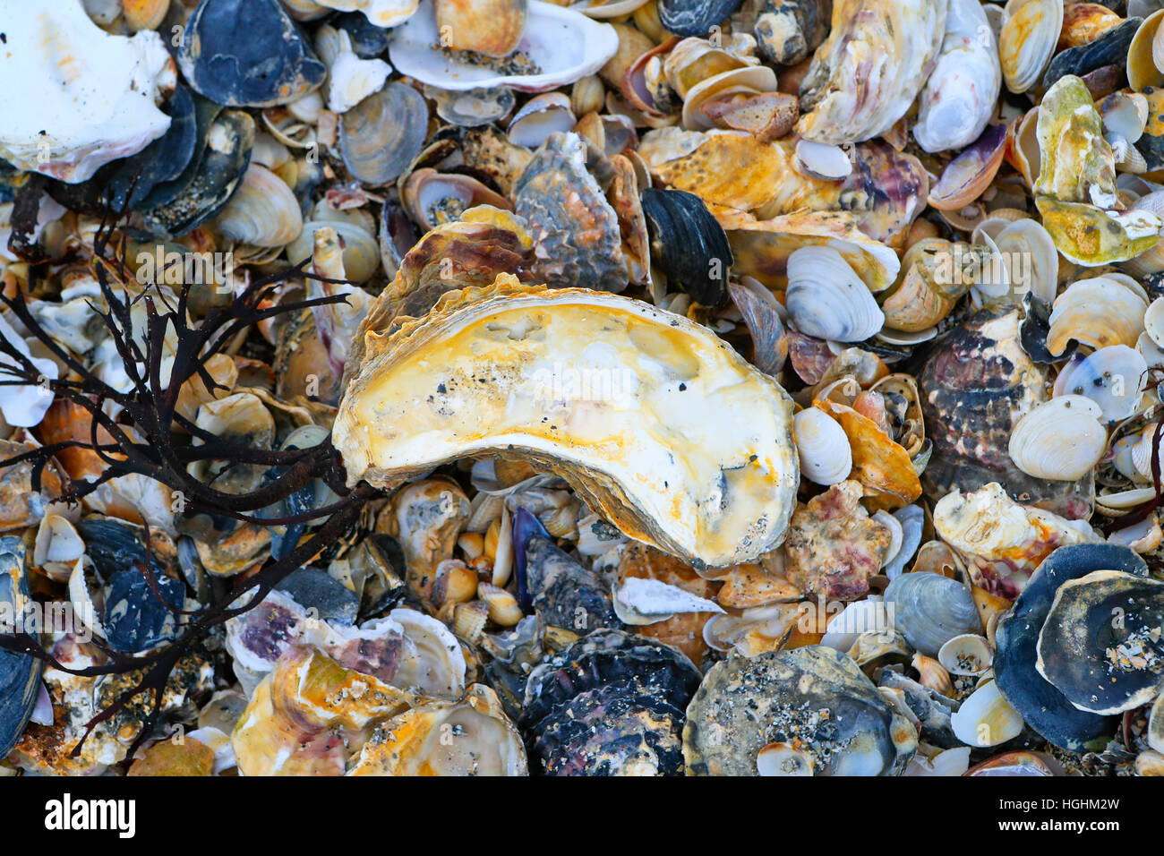 Playa Caracol High Resolution Stock Photography and Images - Alamy