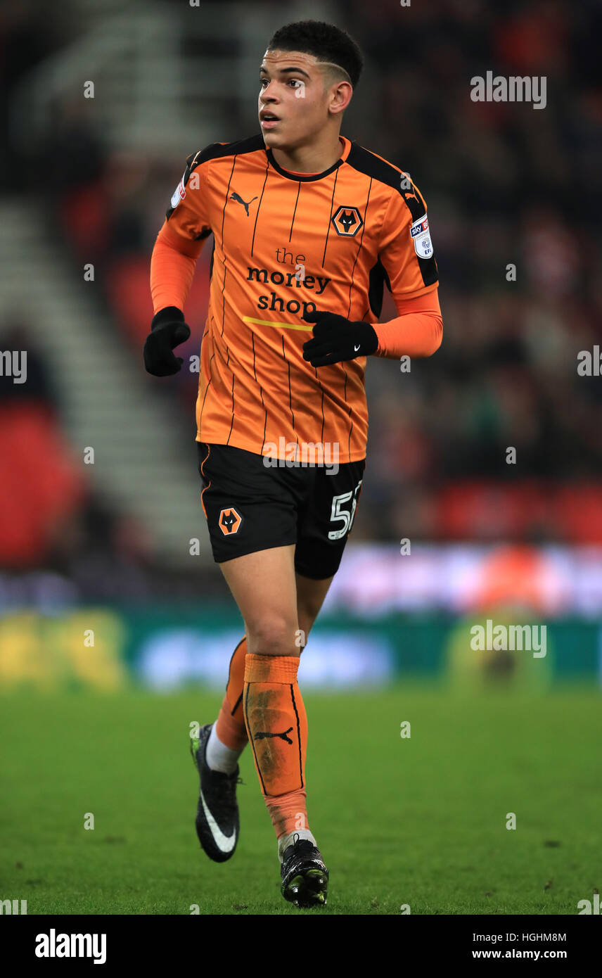 Morgan gibbs white wolves stoke hi-res stock photography and images - Alamy
