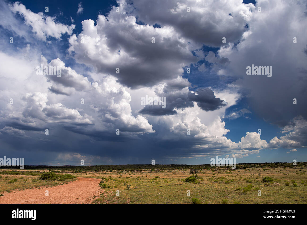 Tall summer thunderstorm cumulonimbus clouds building on the horizon ...