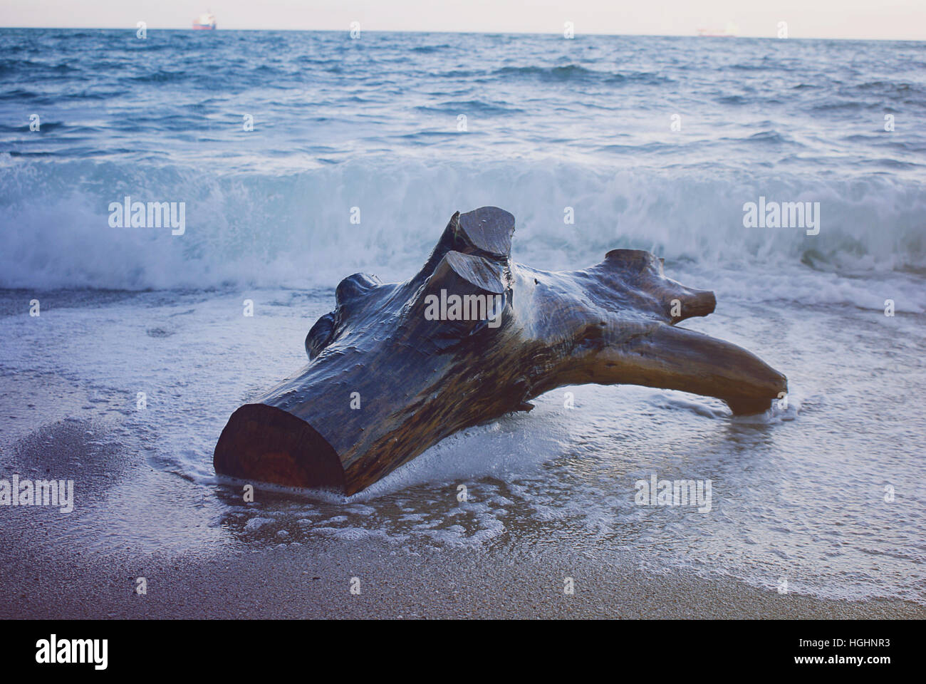 Log in sea hi-res stock photography and images - Alamy
