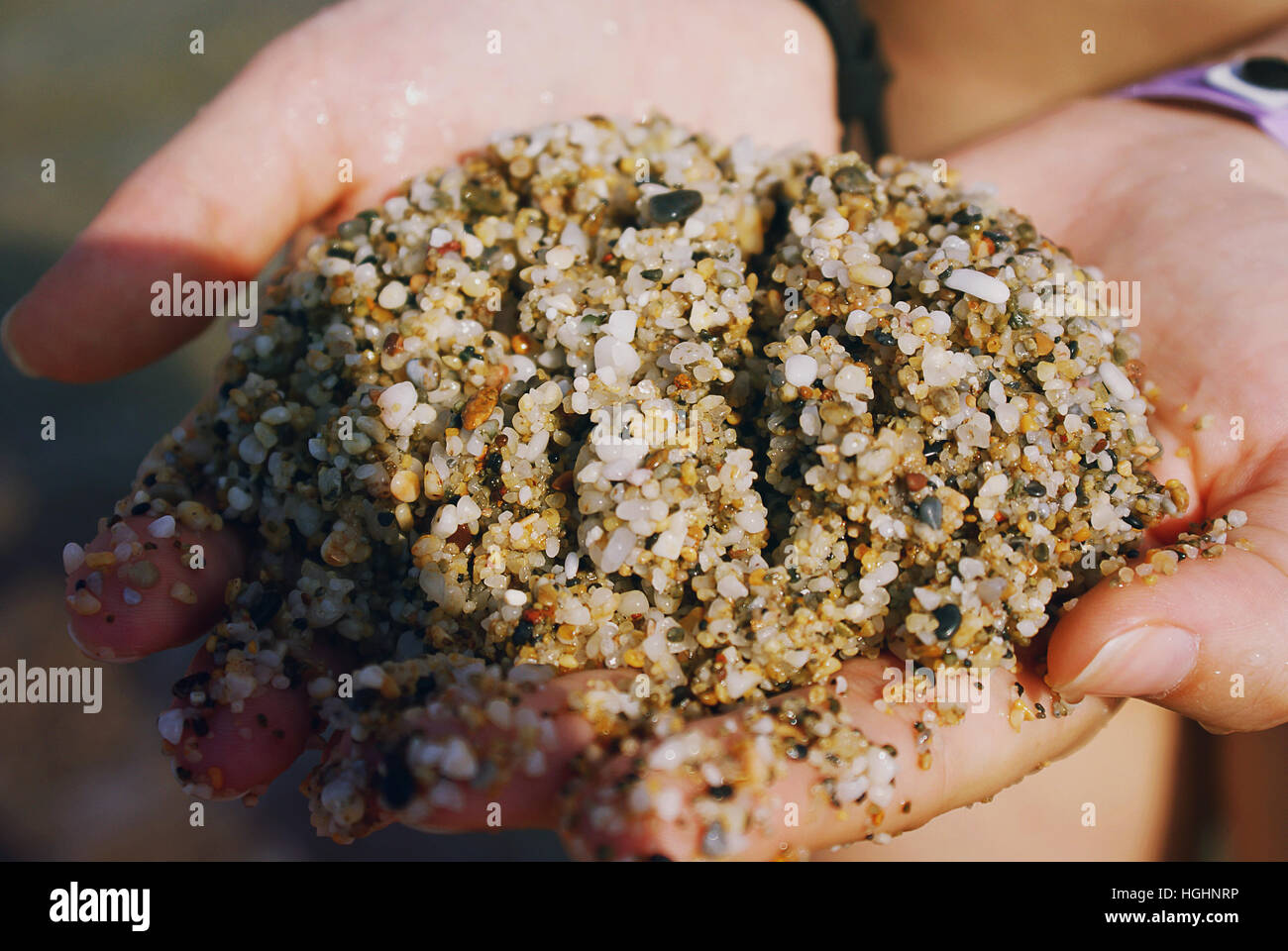 Ocean Sand Magnified 250 Times