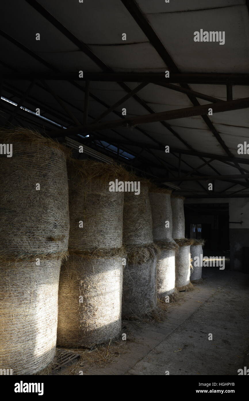 piles of hay in old stall with beautiful sunset light Stock Photo - Alamy