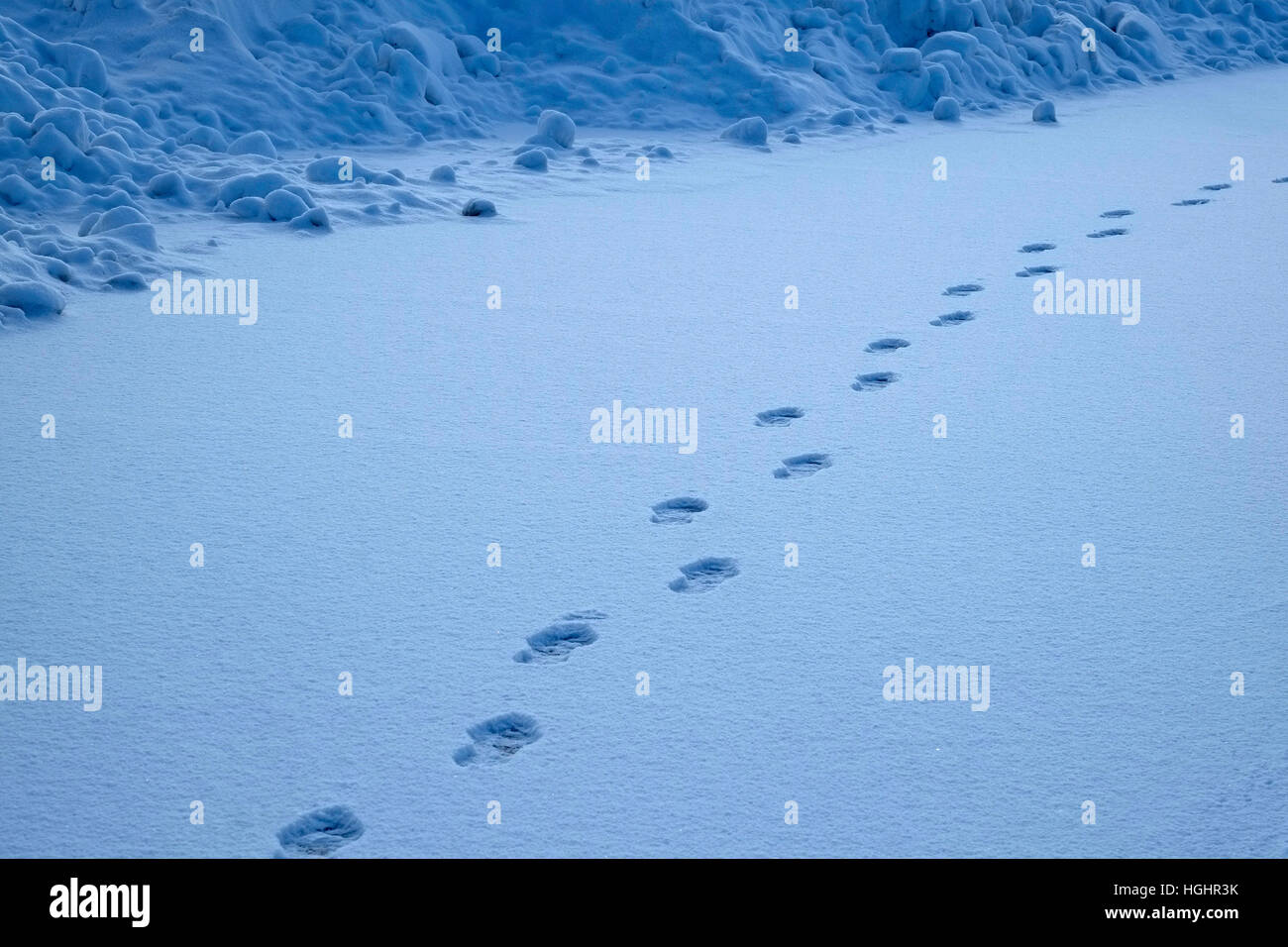 Path for Progress with footprints in the snow Stock Photo - Alamy