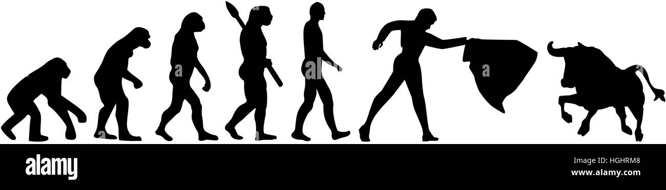 Cow evolution hi-res stock photography and images - Alamy