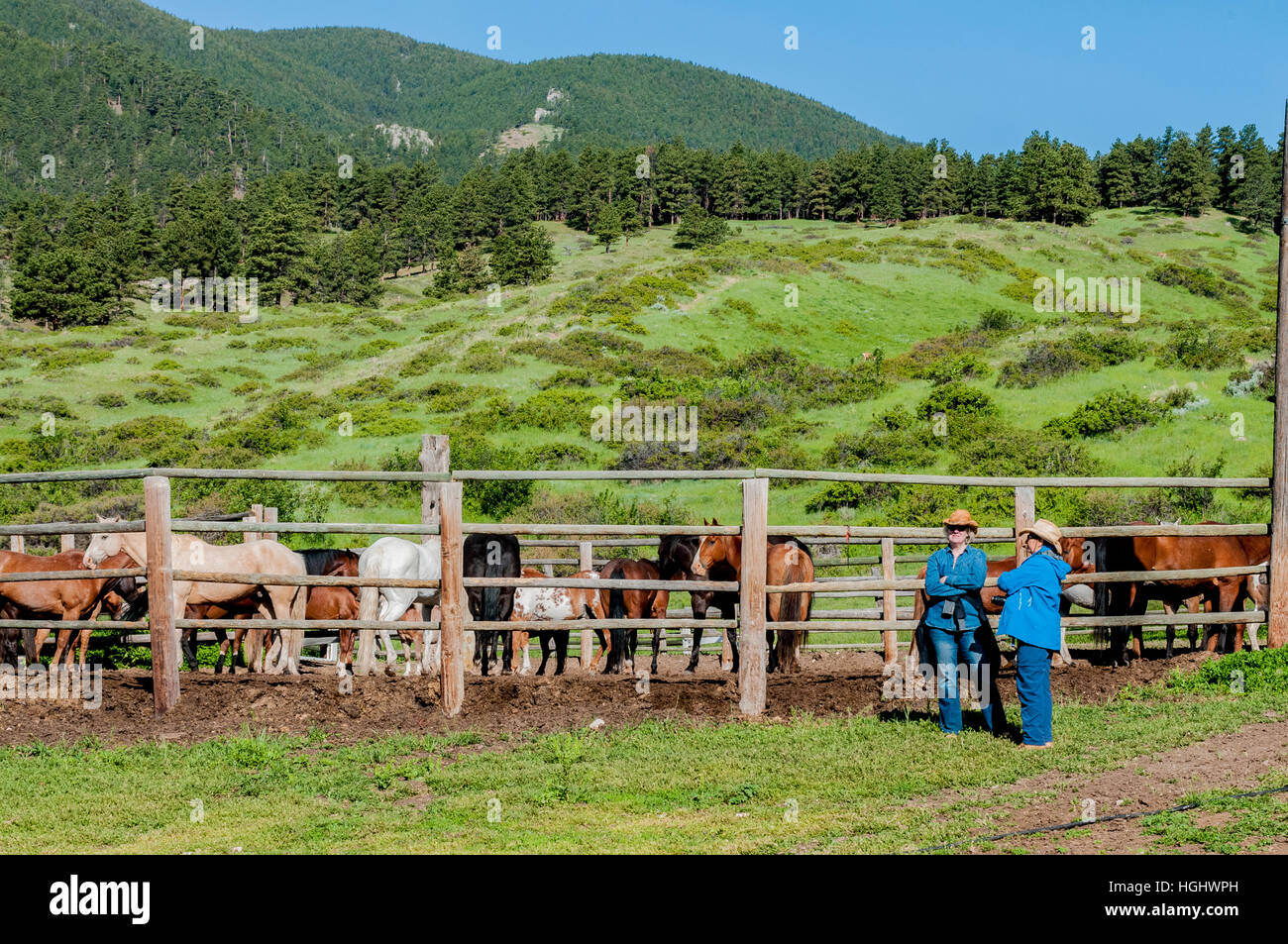 Eaton ranch hi-res stock photography and images - Alamy