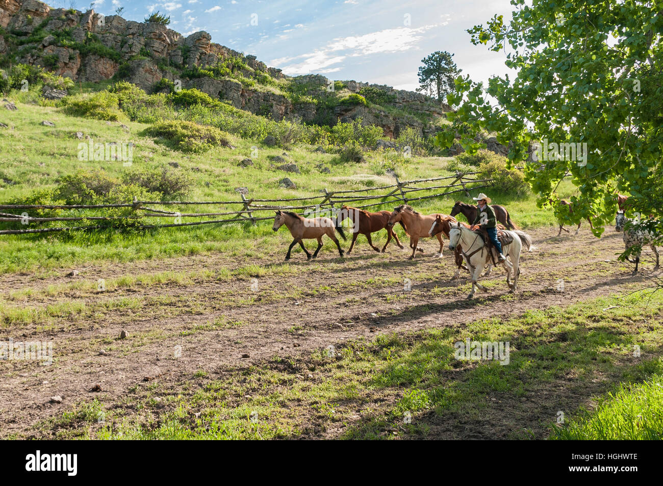 Eatons Ranch High Resolution Stock Photography and Images - Alamy